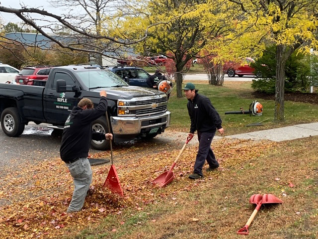 Seasonal Clean-Up - Siple Property Maintainence, Fall & Spring Clean-Up
